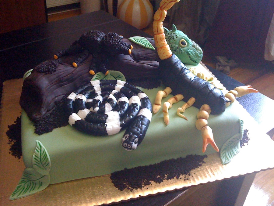 Scorpions,spiders And Snakes Oh My! - CakeCentral.com