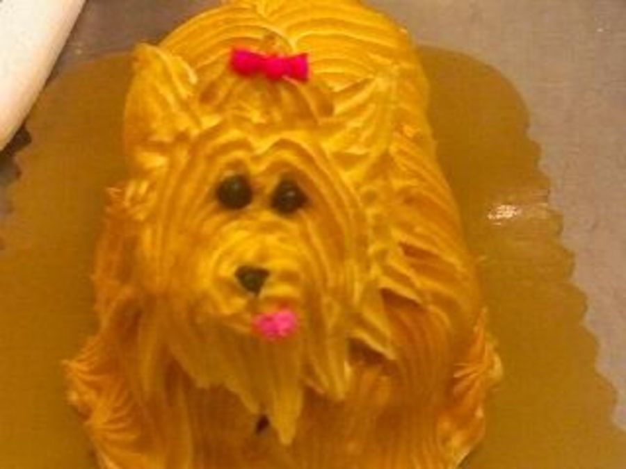 Yorkie Cupcakes - CakeCentral.com