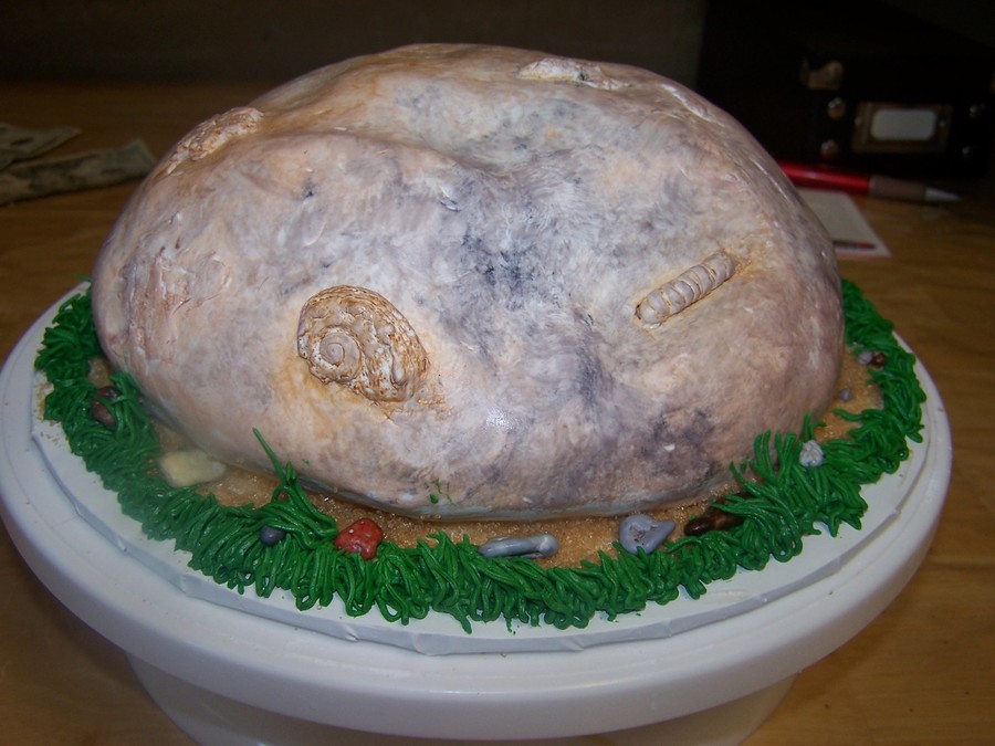 Fossil Cake - CakeCentral.com