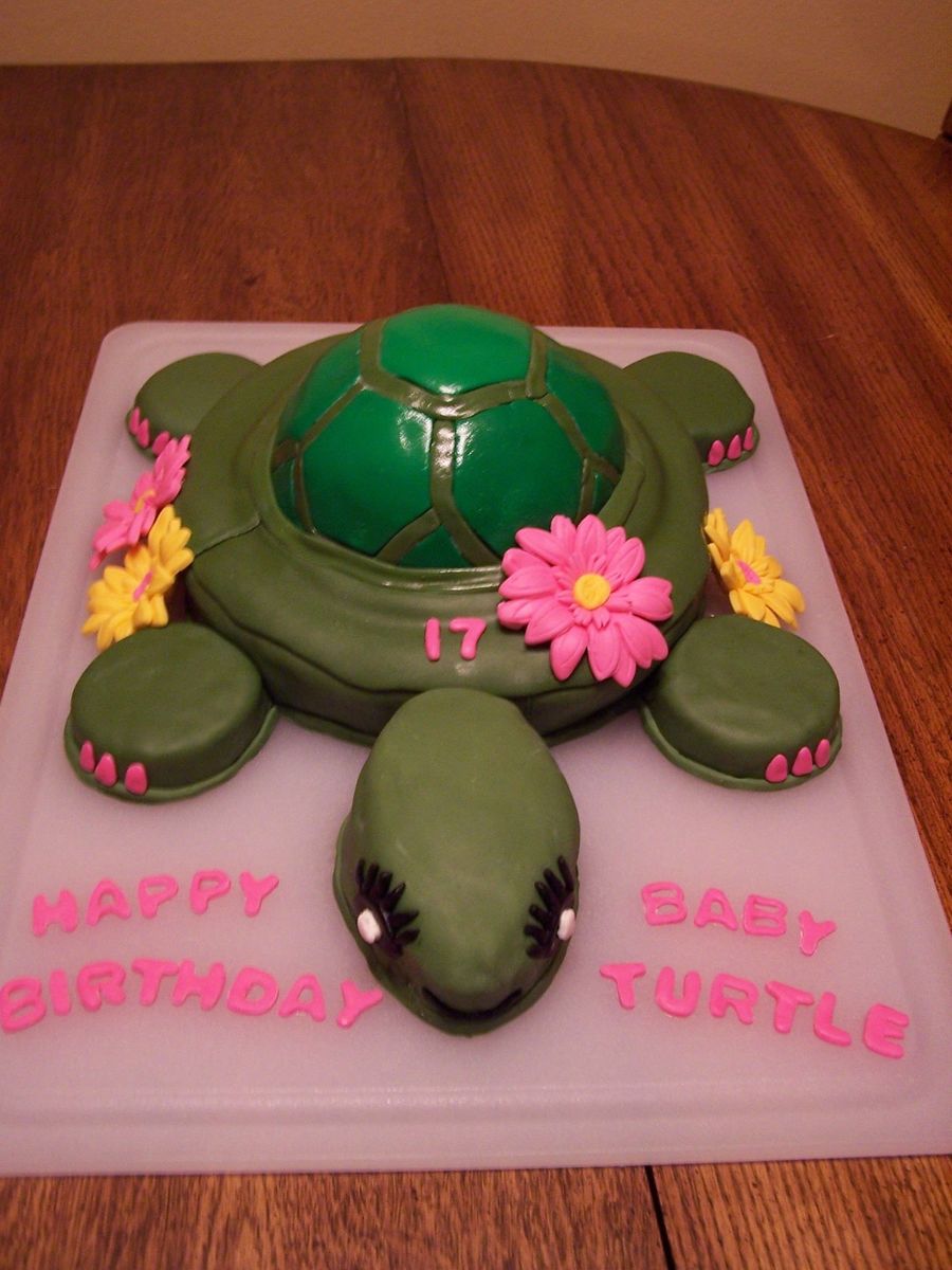 Turtle Birthday Cake - CakeCentral.com