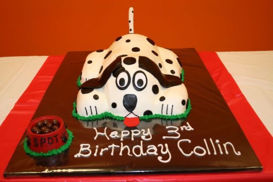 Dalmation Puppy Birthday Cake - CakeCentral.com