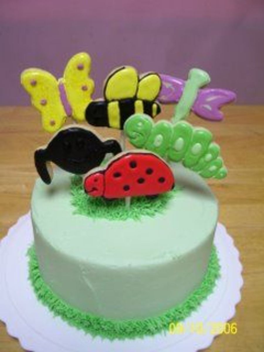 Bug Cake - CakeCentral.com