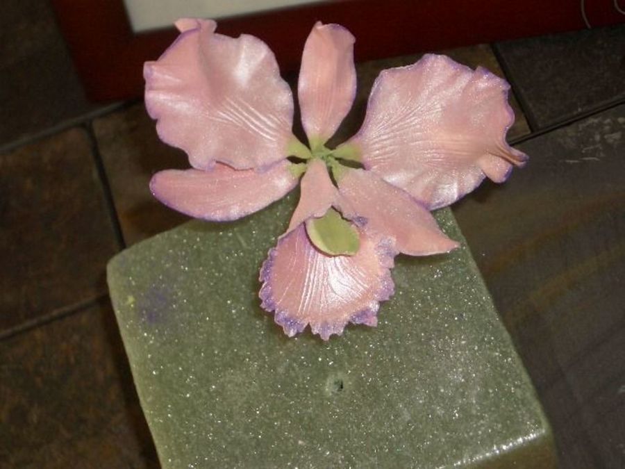 Pink Cattleya Orchid - CakeCentral.com