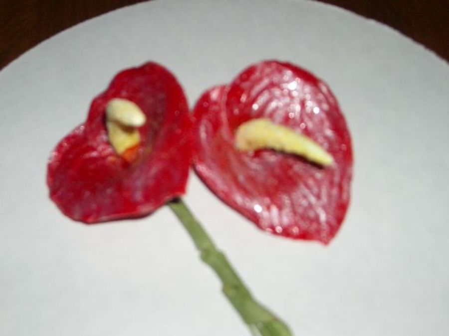 Red Anthurium - CakeCentral.com