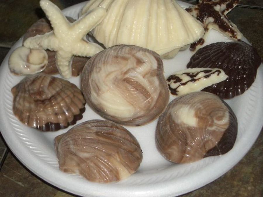 Chocolate Seashells - CakeCentral.com