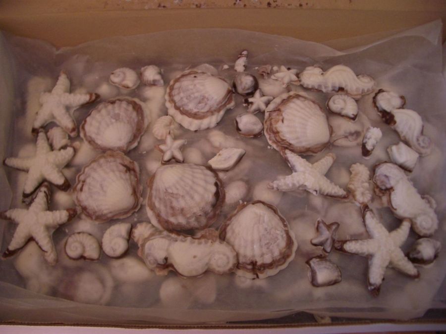 Chocolate Seashells - CakeCentral.com