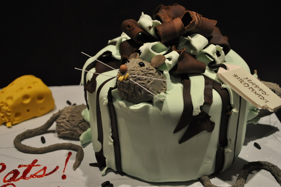 Rat Cake - CakeCentral.com
