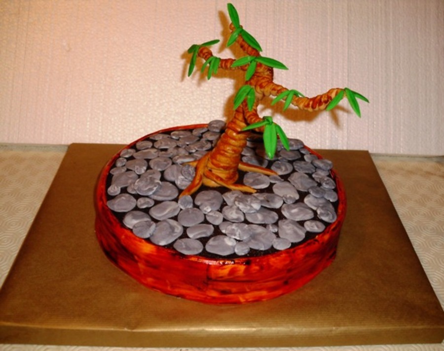 Bonsai Tree Cake - CakeCentral.com