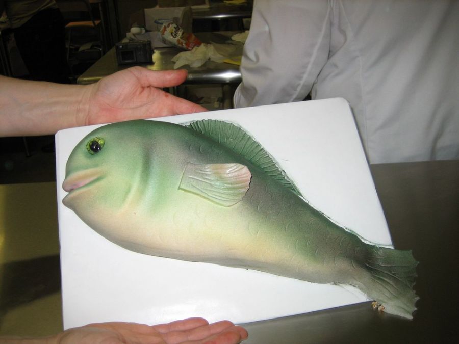 My First Airbrush Fish Cake - CakeCentral.com