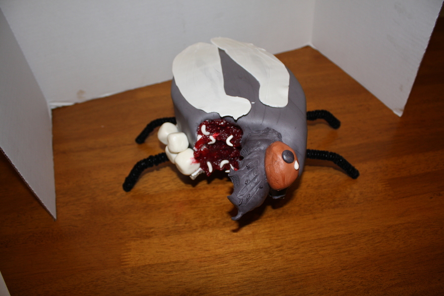 She Ate A Fly - CakeCentral.com