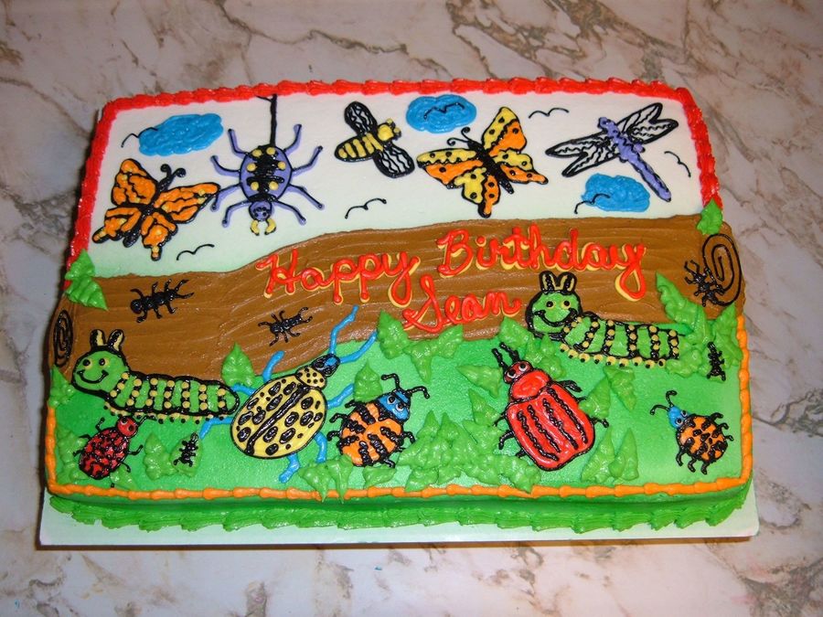 Bug Birthday - CakeCentral.com