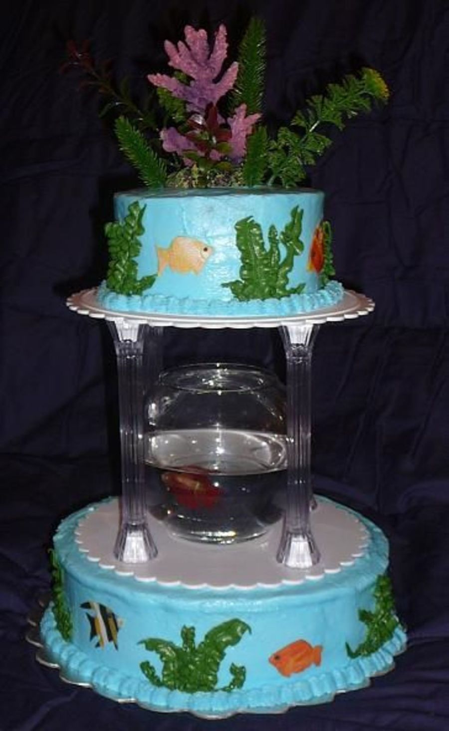 Fish Themed Birthday Cake - CakeCentral.com