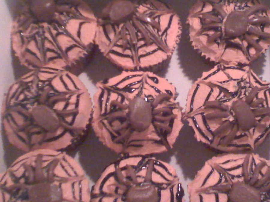 Spider Cupcakes - CakeCentral.com