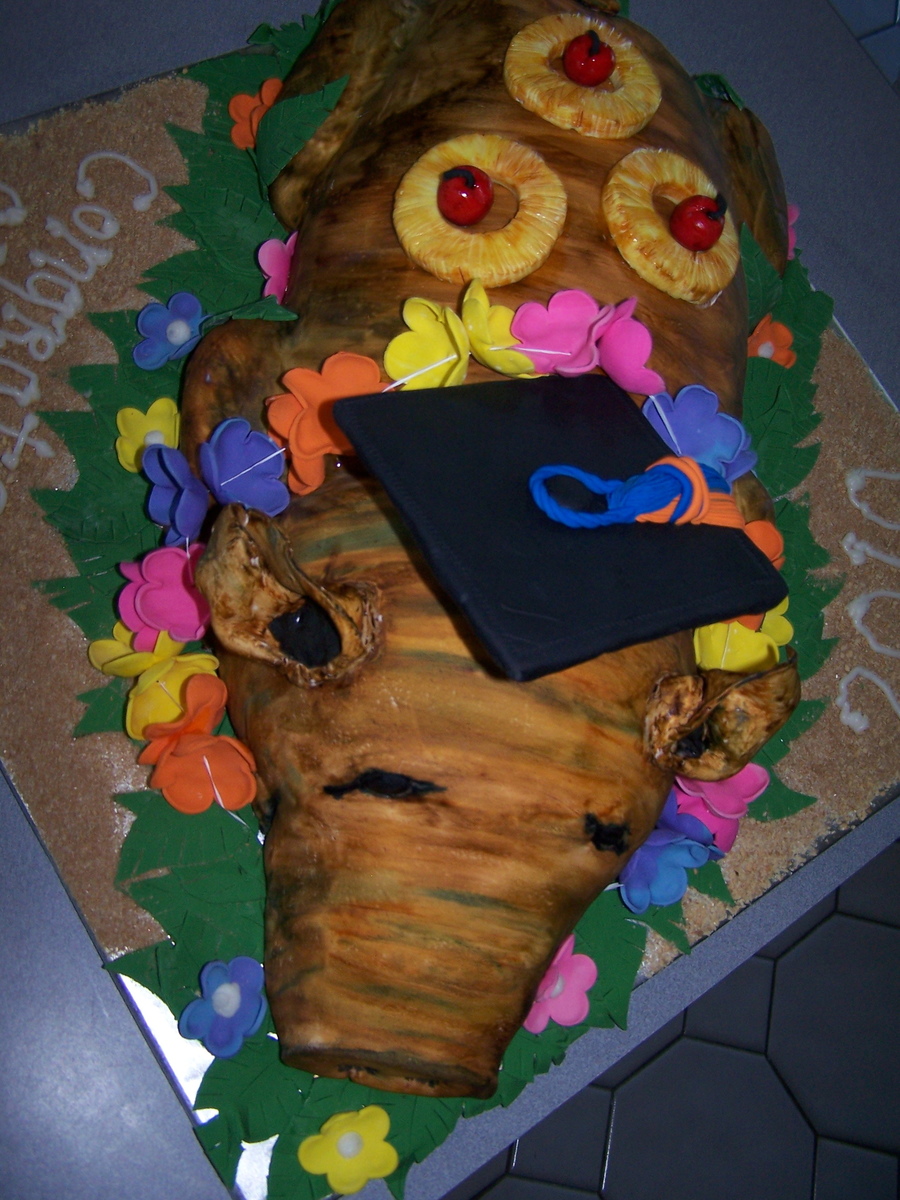 Luau Graduation Cake - CakeCentral.com