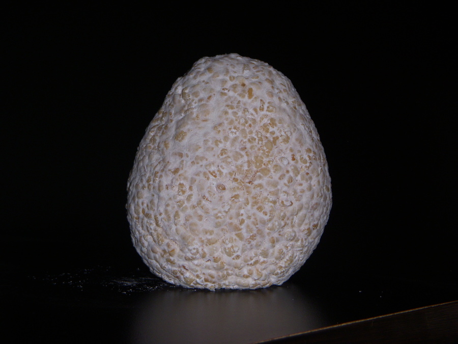 Slimer (Ghostbusters) - CakeCentral.com