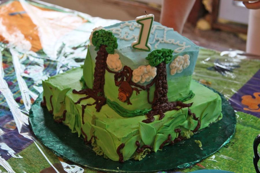 Rainforest Birthday Cake - CakeCentral.com