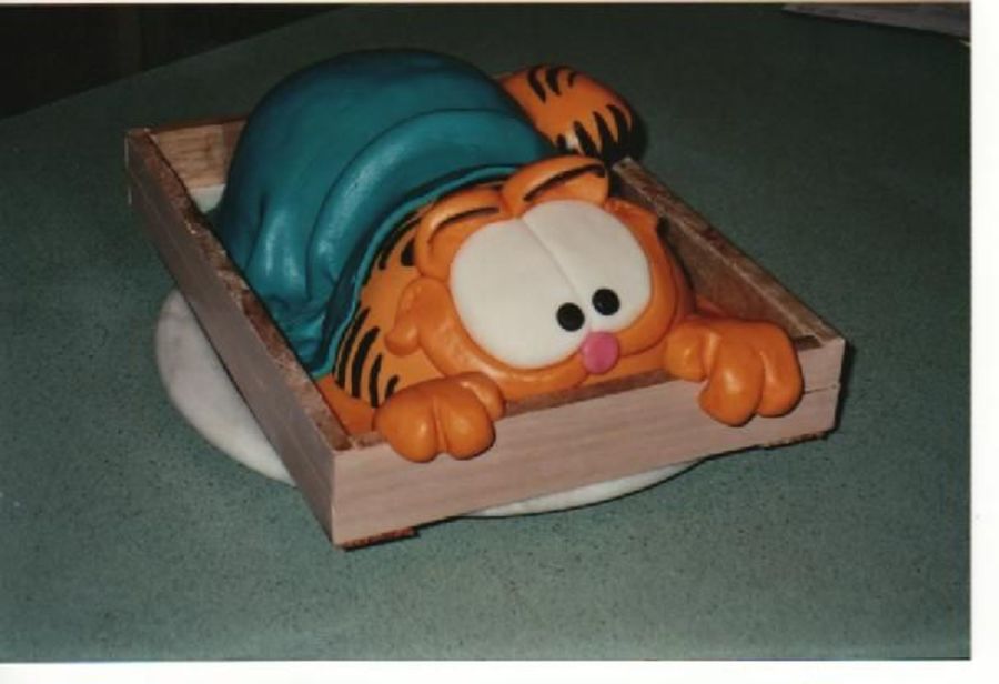 Garfield Cake - CakeCentral.com