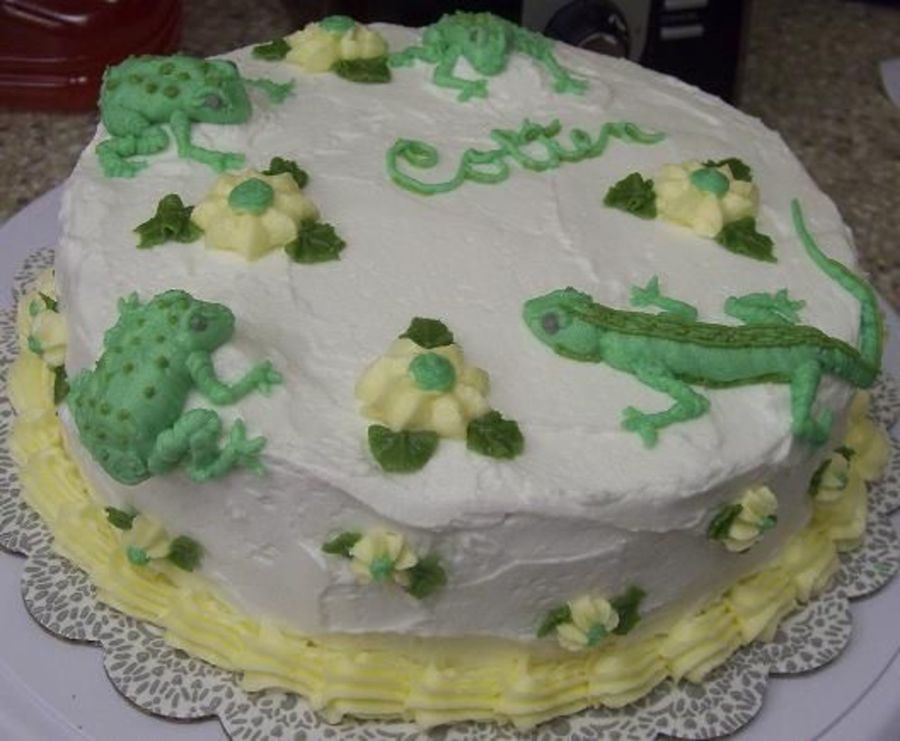 Frogs And Lizards - CakeCentral.com