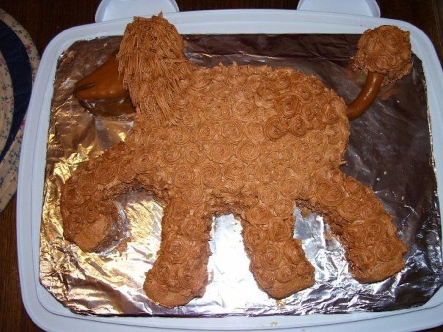 Poodle Cake - CakeCentral.com
