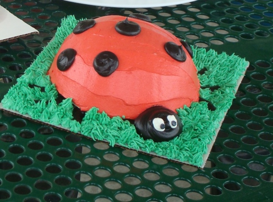 Ladybug Smash Cake - CakeCentral.com