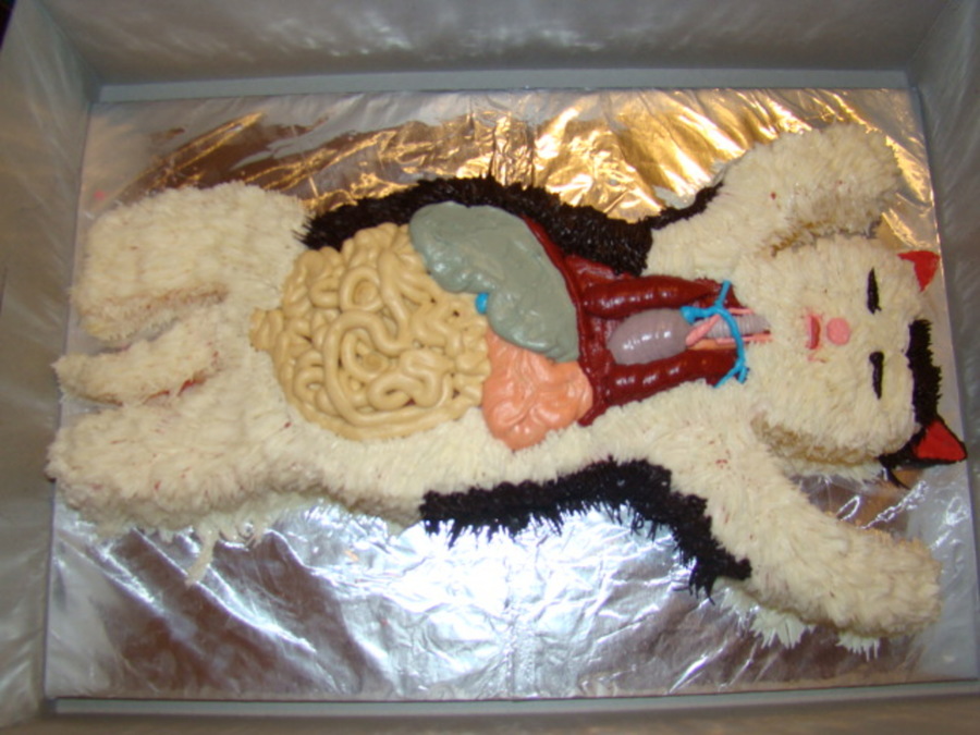 Cat Dissection Cake - CakeCentral.com