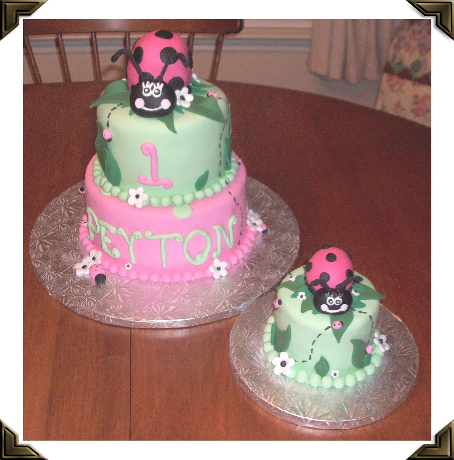Ladybug Cake And Smash Cake - CakeCentral.com