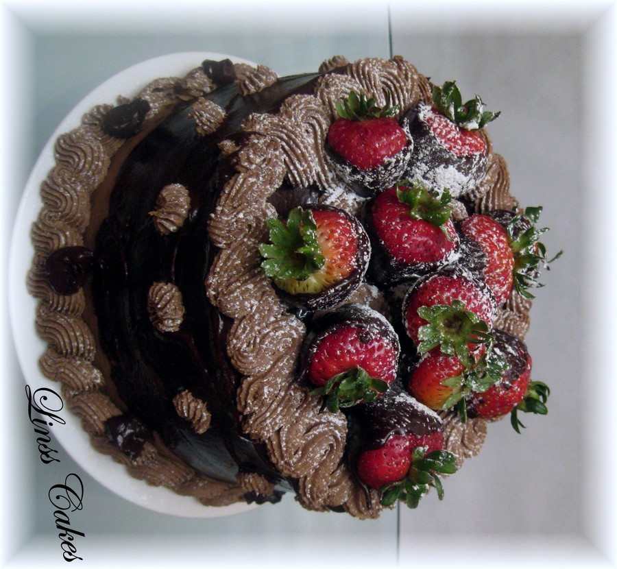 Chocolate Extreme Cake - CakeCentral.com