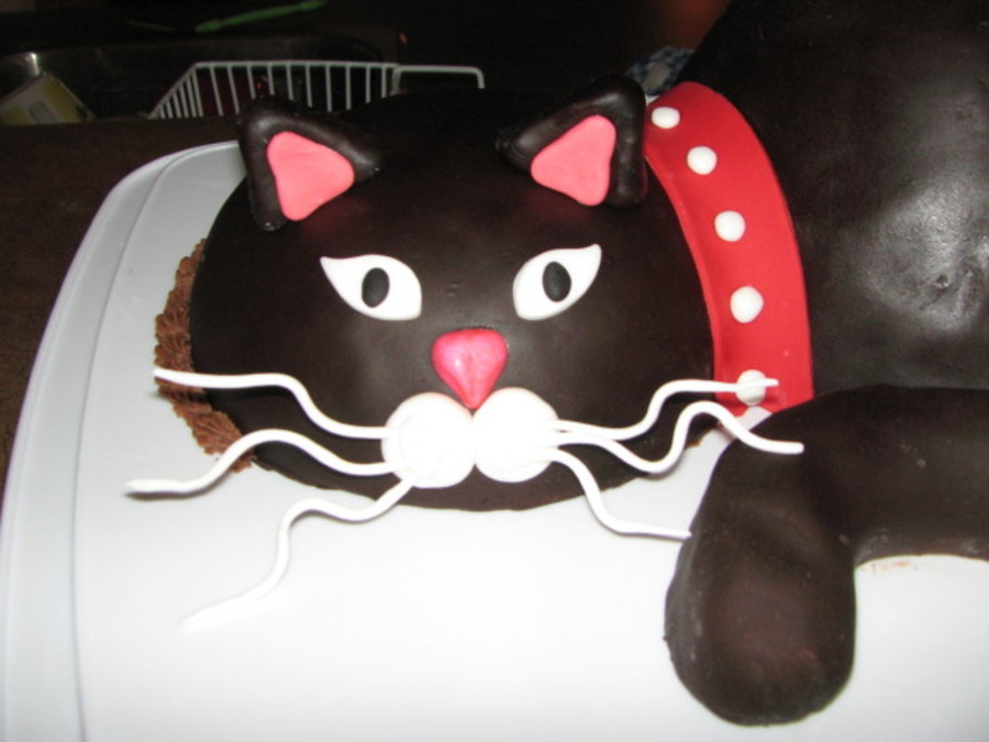 Kitty Cat Cake - CakeCentral.com