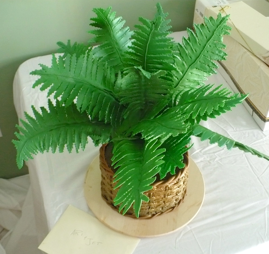 Fern Cake - CakeCentral.com