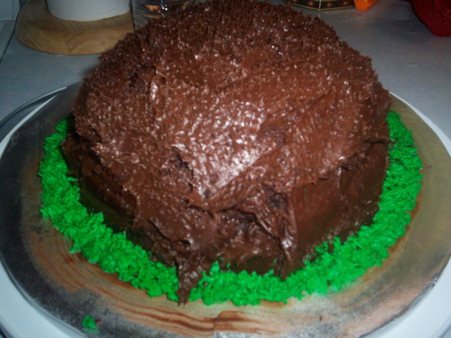 The Cow Pie Cake! - CakeCentral.com