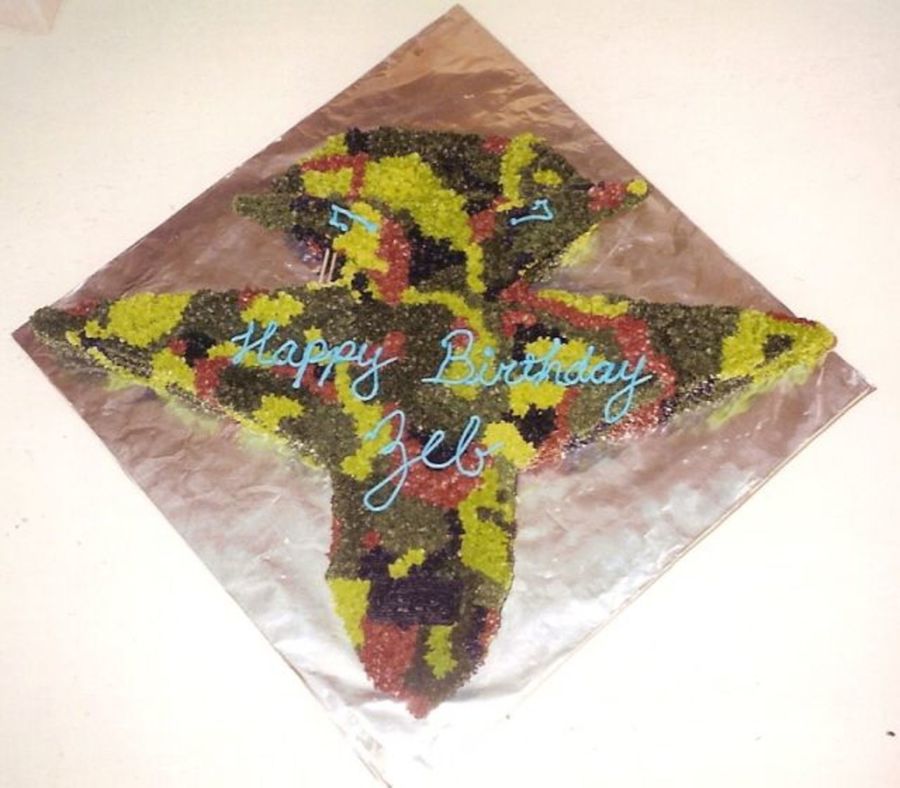 Fighter Plane - CakeCentral.com