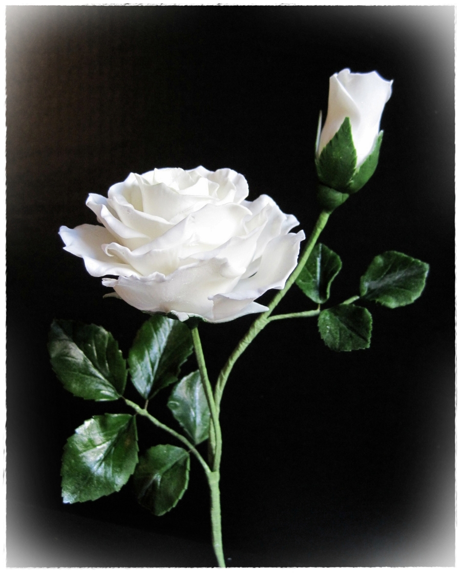 Rose, Bud, And Leaves - CakeCentral.com