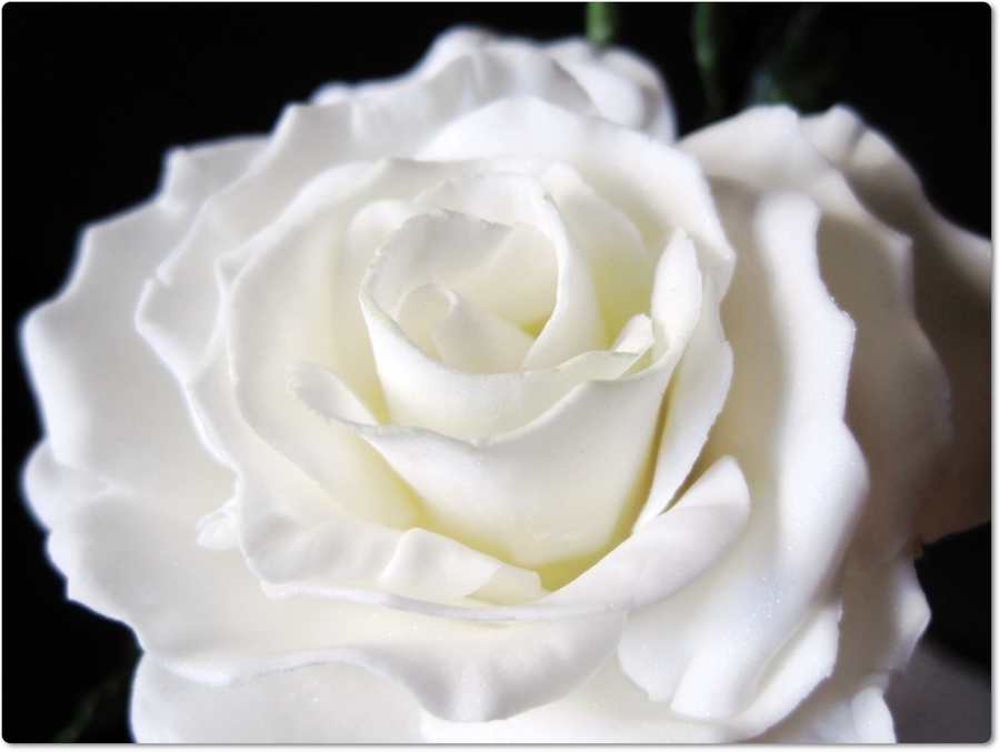 Rose, Bud, And Leaves - CakeCentral.com