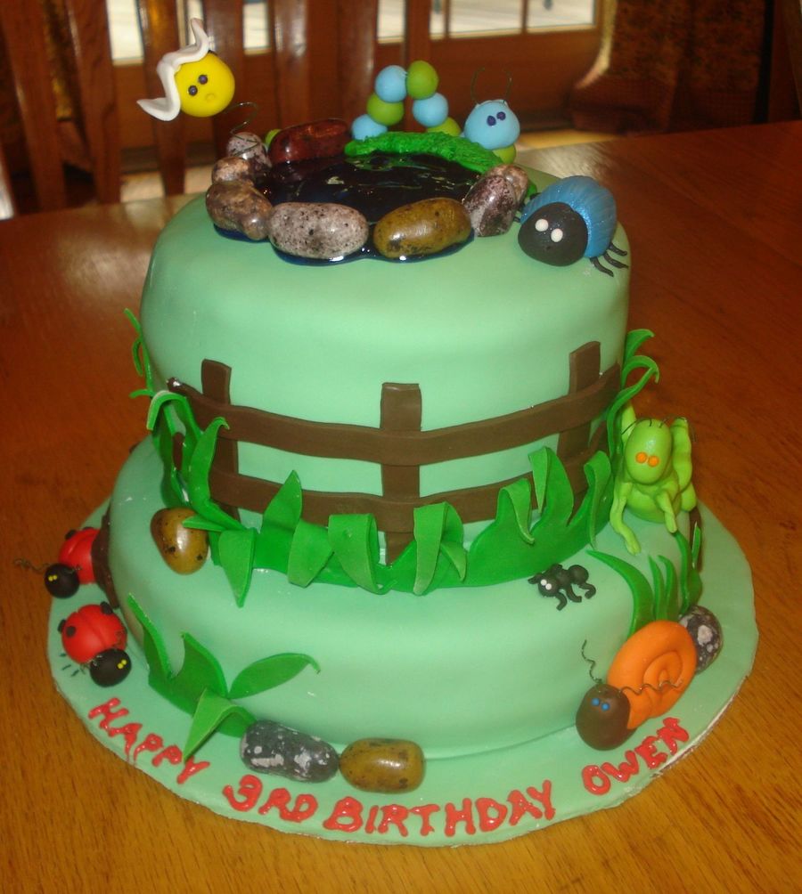 Bug Birthday Cake - CakeCentral.com