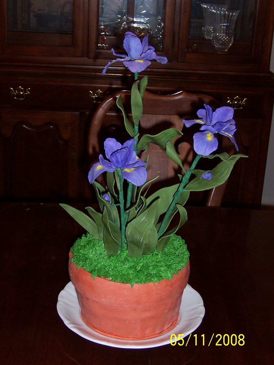 Iris Birthday Cake - CakeCentral.com