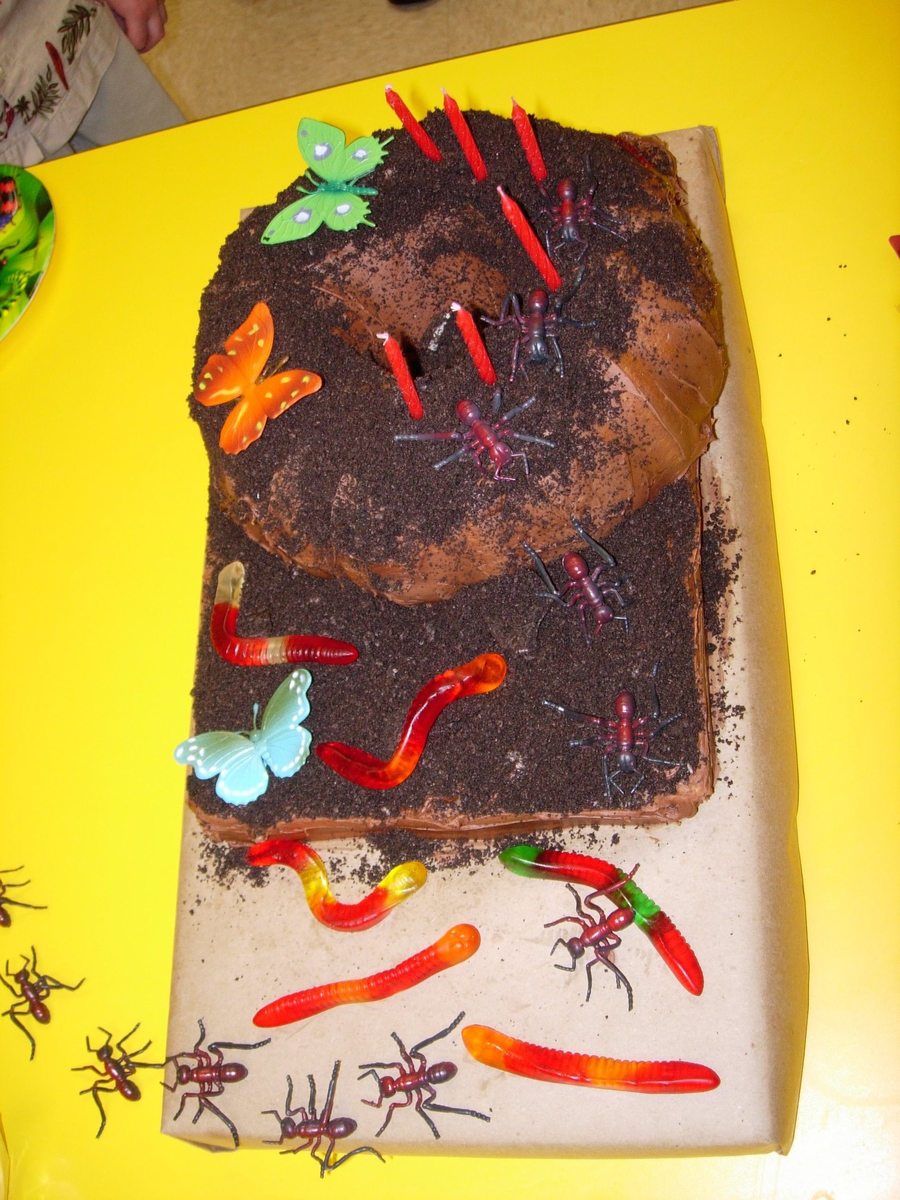Dirt Covered Ant Hill With Worms And Butterflies - CakeCentral.com