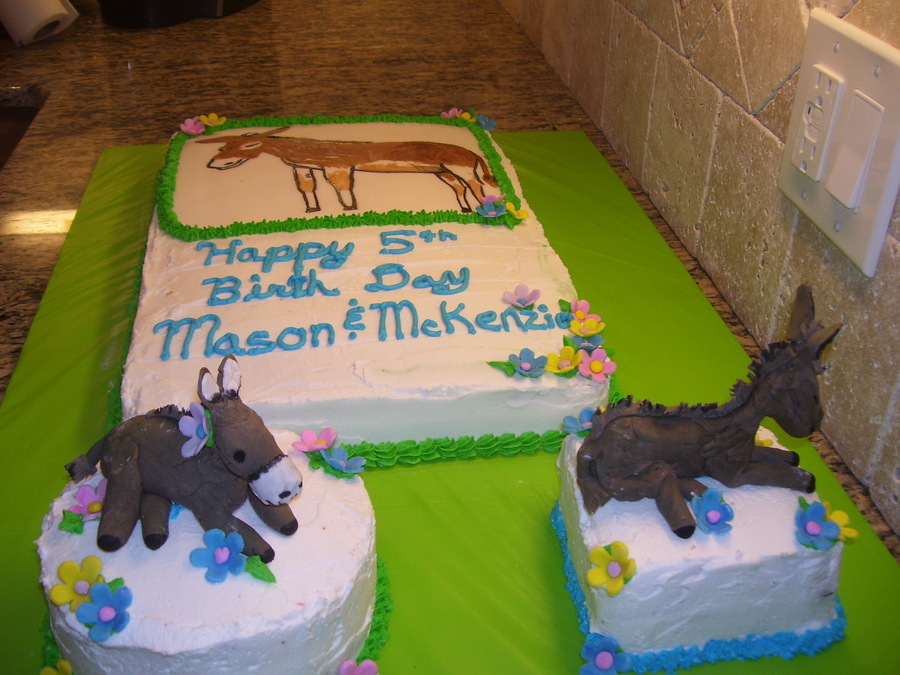Donkey Cake - CakeCentral.com