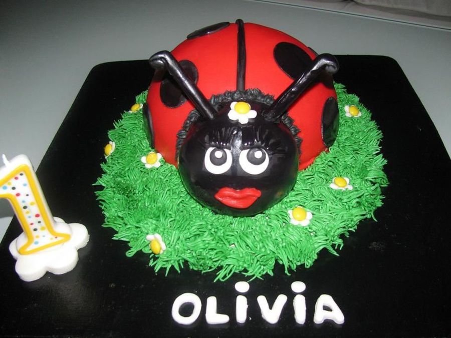 Lady Bug - CakeCentral.com