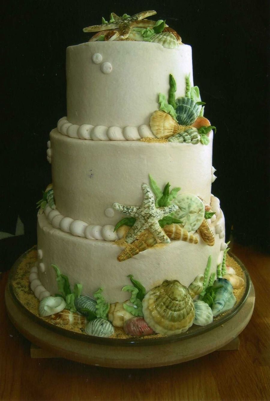 Painted Shells - CakeCentral.com