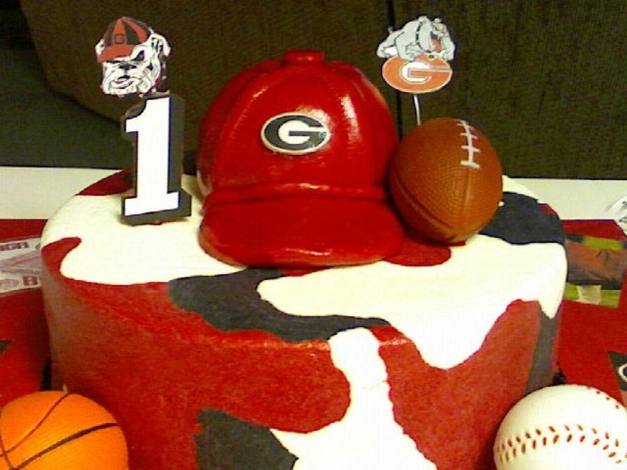 Uga "dawgs" Birthday Cake - CakeCentral.com
