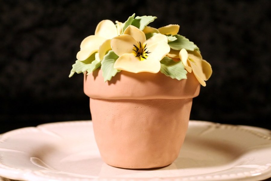 Terra Cotta Flower Pot Mini Cake - CakeCentral.com