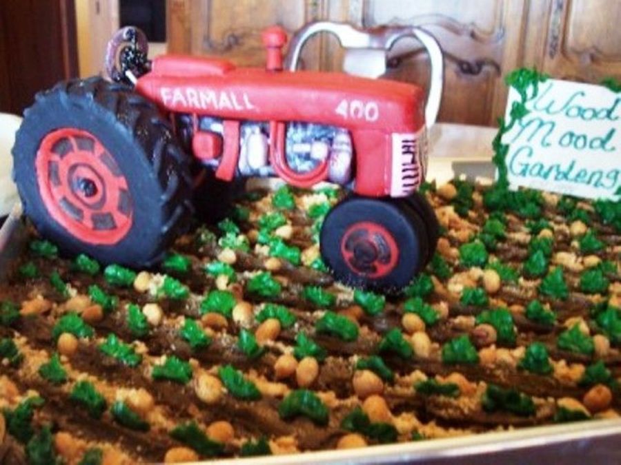 Farmall Tractor Cake - CakeCentral.com