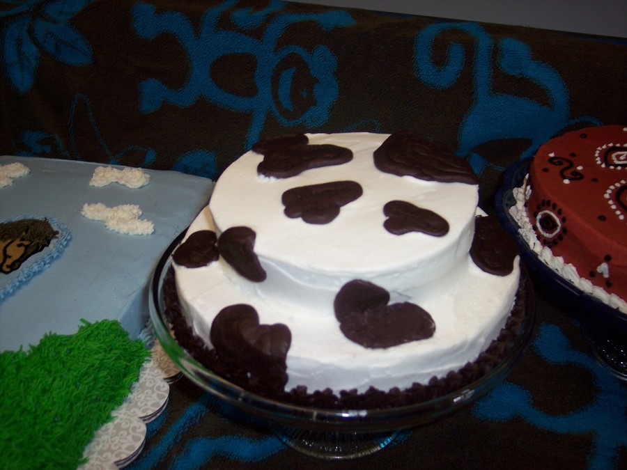 Cow Print CakeCentral