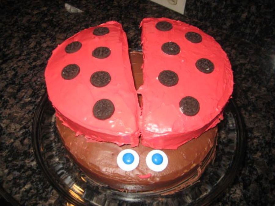 Ladybug Cake - CakeCentral.com