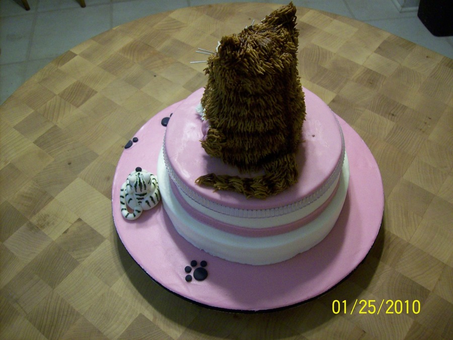 Cat Cake - CakeCentral.com