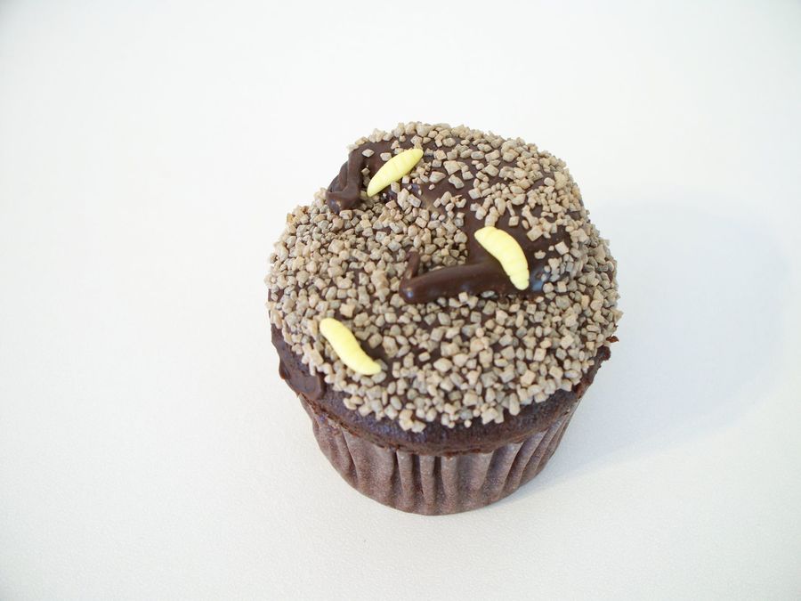 Kitty Poop & Maggot Cake - CakeCentral.com