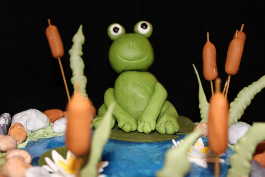 Frog Pond - CakeCentral.com