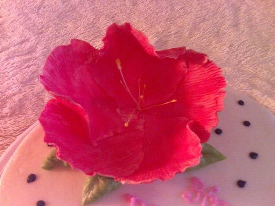 Hibiscus Cake - CakeCentral.com