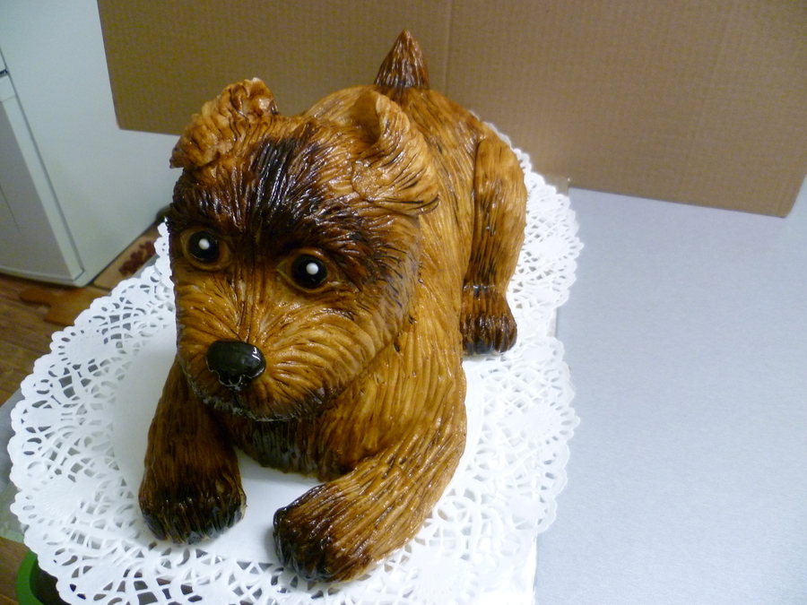 Brown Dog - CakeCentral.com