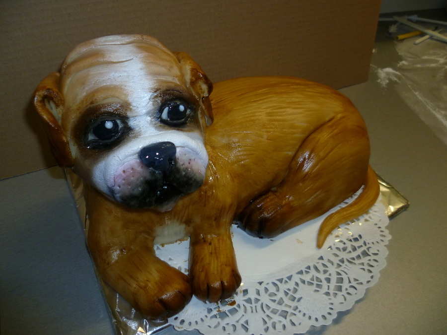Bulldog - CakeCentral.com